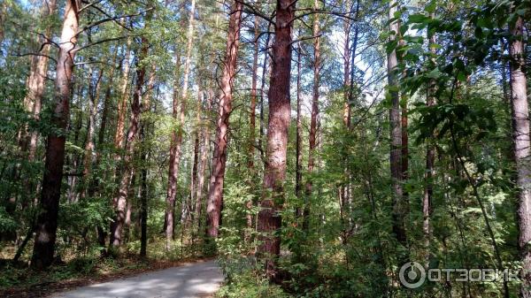 Отзыв о Озеро Увильды (Россия, Челябинская область) | Отдых среди ...