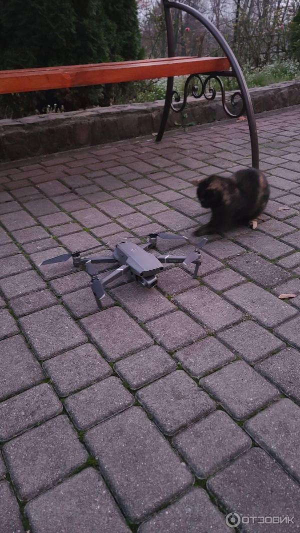 Отзыв о Квадрокоптер DJI Mavic 2 Pro | Вещь которая стоит своих денег