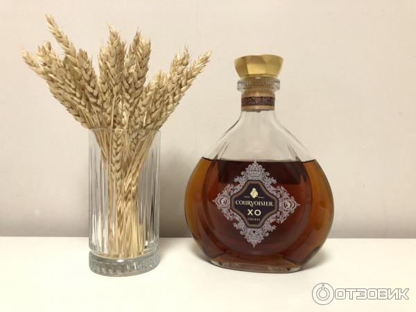 Отзыв о Коньяк Courvoisier XO | Качественный и вкусный напиток