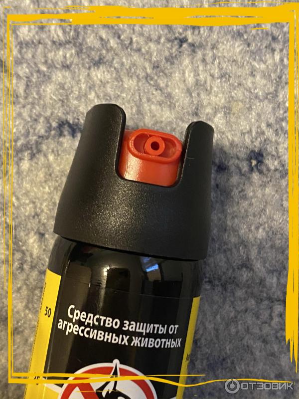 Отзыв о Спрей для защиты от агрессивных животных АСК AntiDog | с ним ...