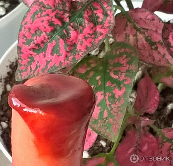 Отзыв о Соус Rioba Барбекю | Удобно, но не очень вкусно.