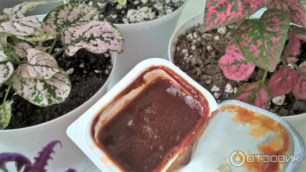 Отзыв о Соус Rioba Барбекю | Удобно, но не очень вкусно.