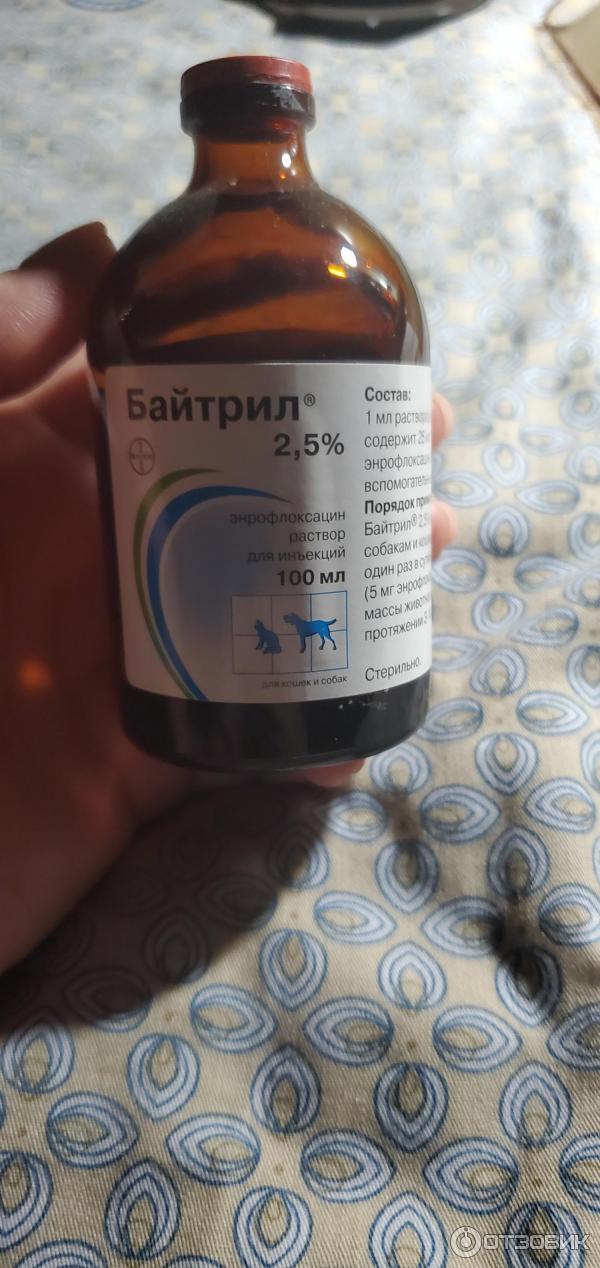 Отзыв о Раствор для инъекций Bayer "Байтрил" 2,5% | Эффективный ...