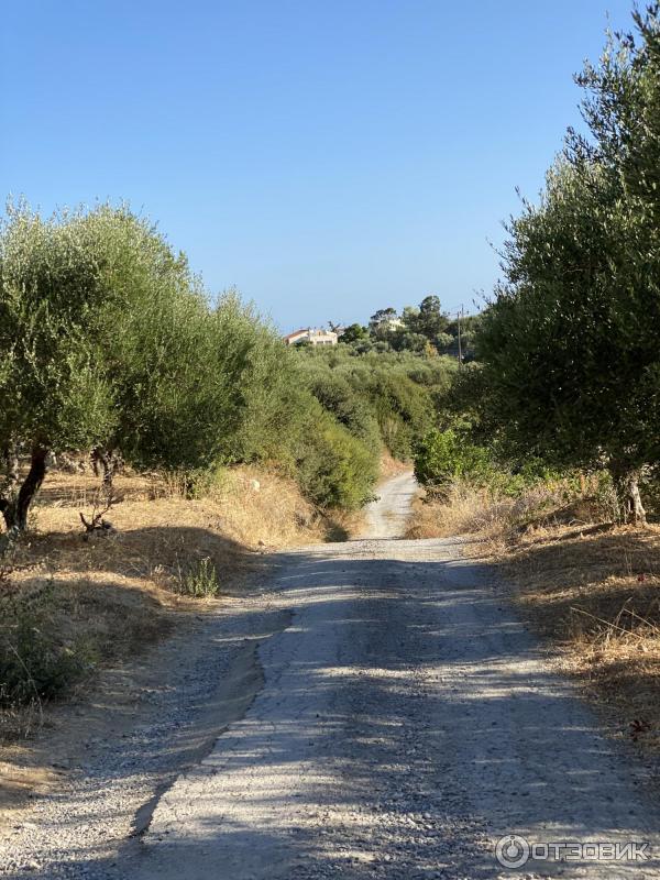 Отзыв о Отель Rimondi Grand Hotel & Spa Resort (Греция, о. Крит ...