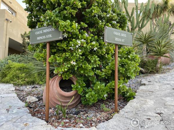 Отзыв о Отель Rimondi Grand Hotel & Spa Resort (Греция, о. Крит ...