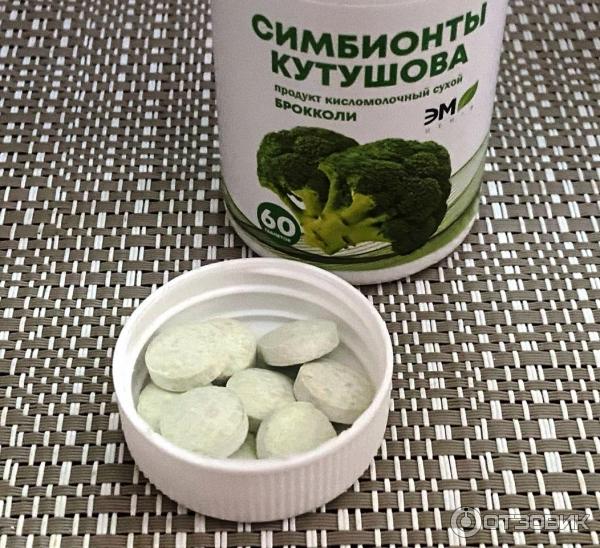 Отзыв о Сухой кисломолочный продукт Родник здоровья "Симбионты Кутушова ...
