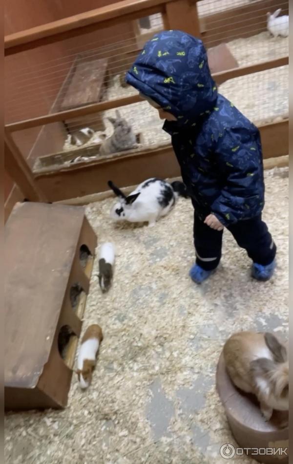 Отзыв о Контактный зоопарк "Страна ЕНОТиЯ" (Россия, Москва) | Милота