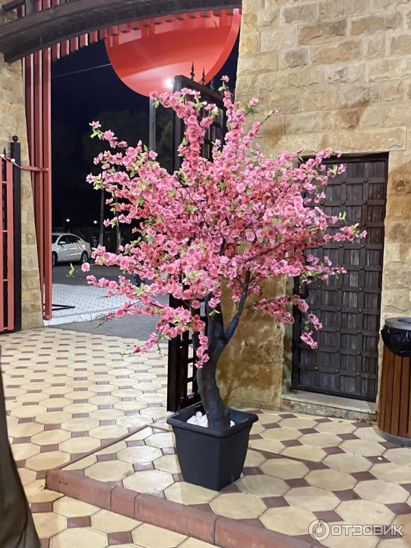 Отзыв о Парк "Panda park" (Россия, Каспийск) | Отличный парк для детей!