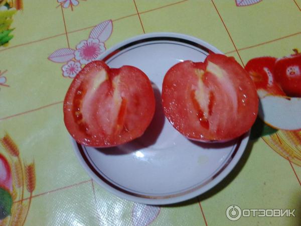 Tomato Batyanya: charakteristika a popis odrůdy společnosti Siberian ...
