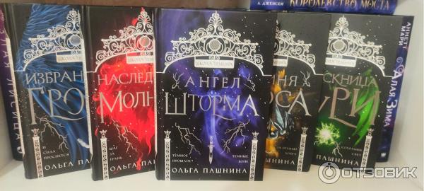 Отзыв о Книга "Школа темных. Ангел шторма" - Ольга Пашнина | Наконец-то ...