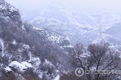 Отзыв о Цифровой зеркальный фотоаппарат Canon EOS 50D | Примеры фото на ...