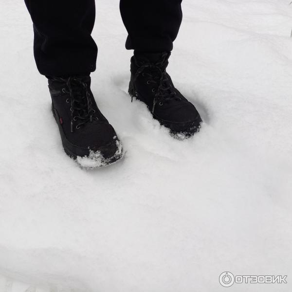 Отзыв о Ботинки мужские утепленные Outventure Forester | Удобные ...