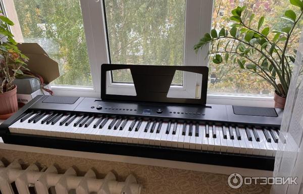 Отзыв о Цифровое пианино Rockdale Keys RDP-4088 | Классическое черное ...