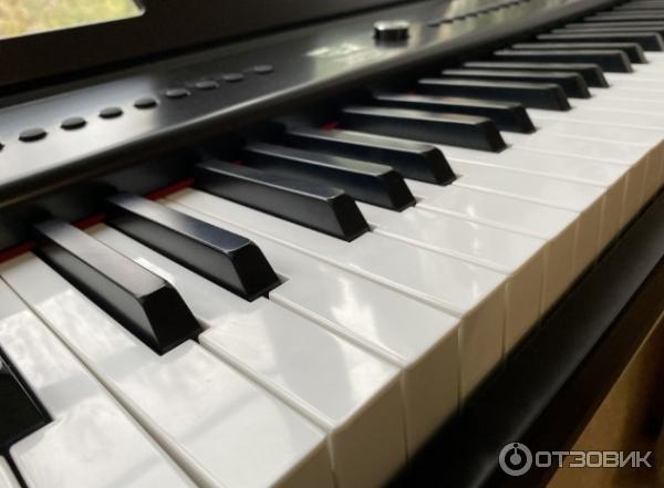 Отзыв о Цифровое пианино Rockdale Keys RDP-4088 | Классическое черное ...