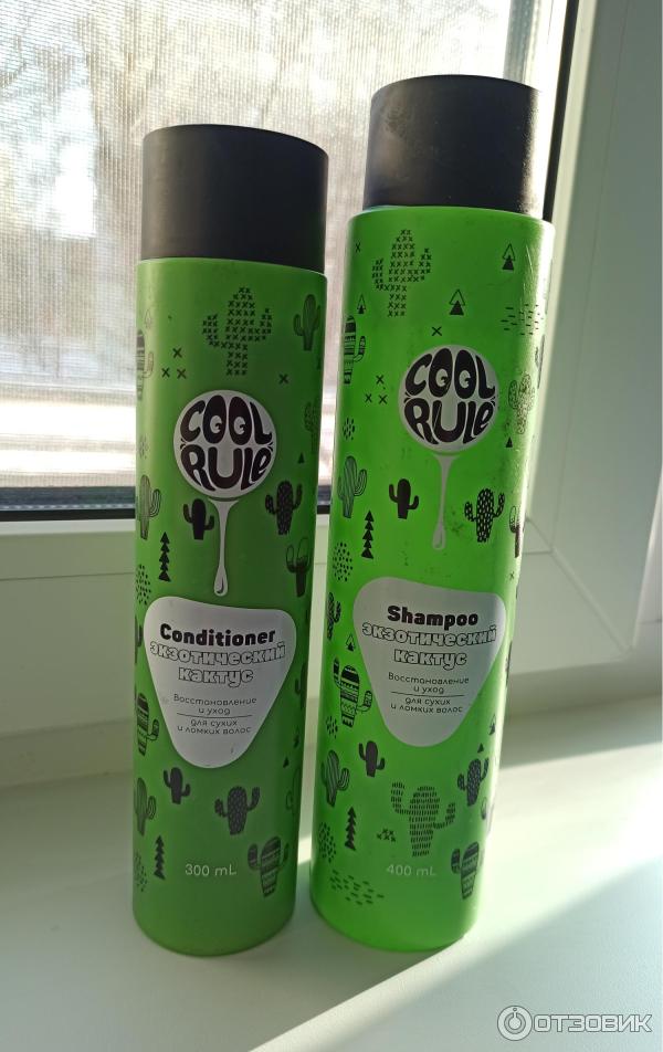 Отзыв о Шампунь Cool Rule "Восстановление и уход. Экзотический кактус ...