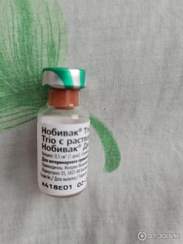 Отзыв о Комбинированная живая вакцина Nobivac Tricat | Отличная вакцина ...